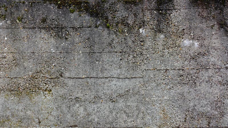 Close-up of an Aging Concrete Wall with Texture and Moss Stock Image ...