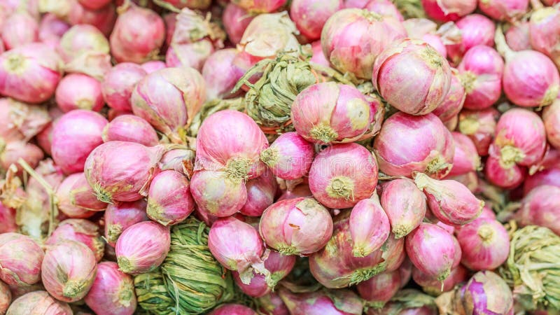 Close-up allium stock image. Image of freshness, market - 32542669