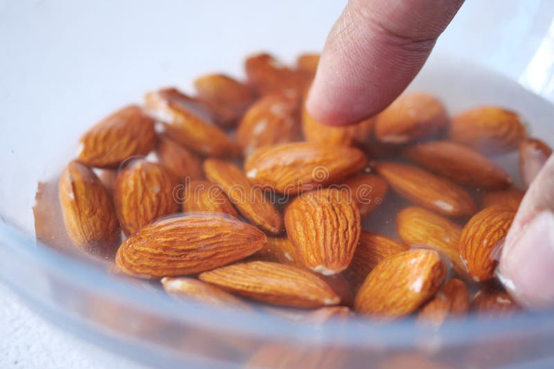 Close Up of Almond Nut in Water Stock Photo - Image of protein ...