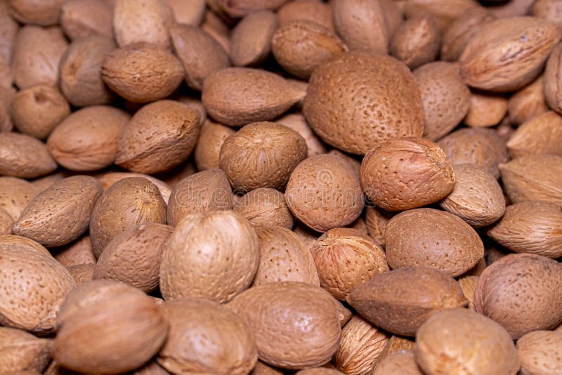 Close Up of Almonds in the Shell Stock Image - Image of wallpaper ...