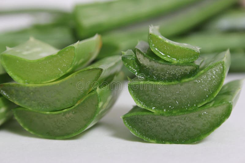 Close-up of Aloe Slices on White Background Stock Image - Image of ...