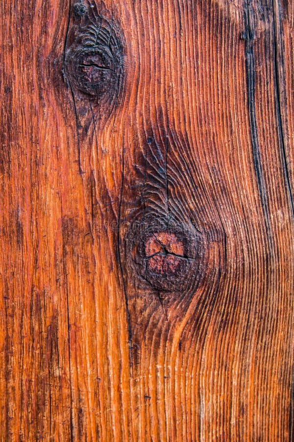 Ancient Tree Texture stock photo. Image of brown, japan - 108391210