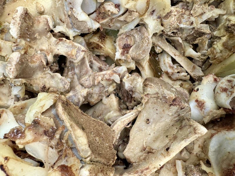 7,649 Food Animal Structure Stock Photos - Free & Royalty-Free Stock ...