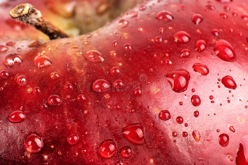 Close up apple with drops stock photo. Image of natural - 29135756