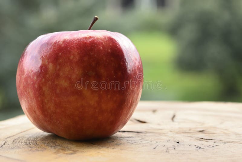 Close Up of Apple Type with Red, White, Yellow and Pink Pulp Stock ...