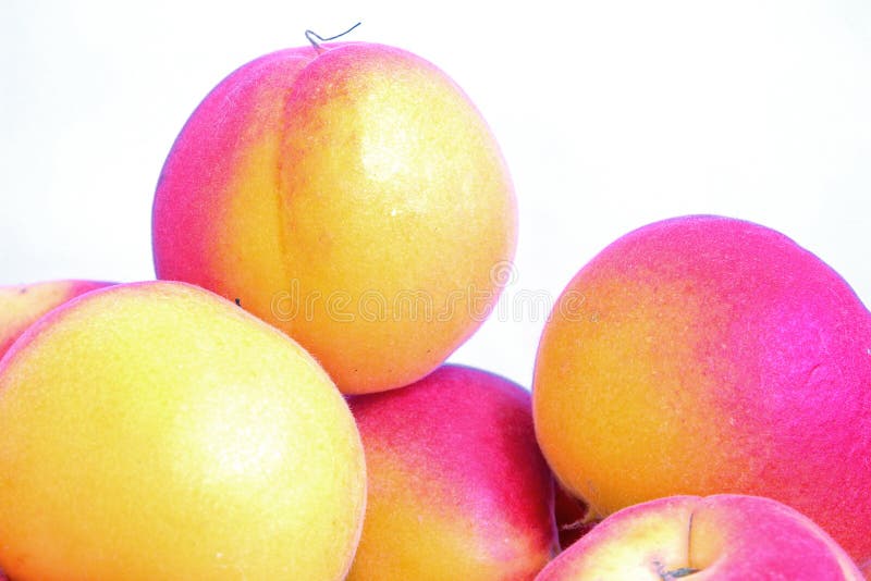 Apricots stock photo. Image of harvest, natural, appetizing - 251007004