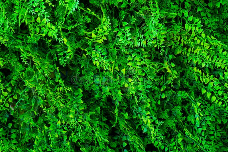 Close-up of Artificial Greenery for Decoration Stock Photo - Image of ...
