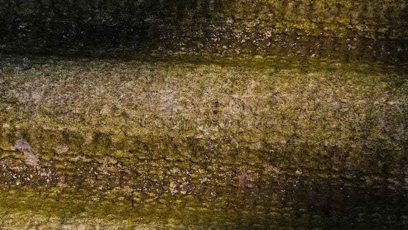 Abstract Background of Asbestos Pattern Stock Photo - Image of danger ...