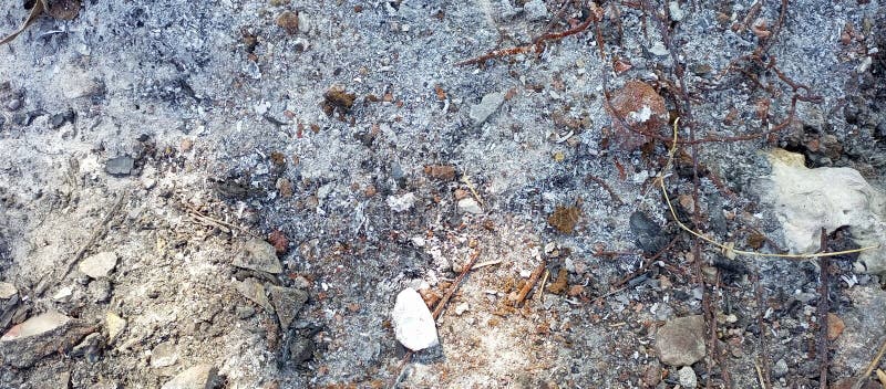 Close-up of Ash and Debris on the Ground Texture Stock Photo - Image of ...