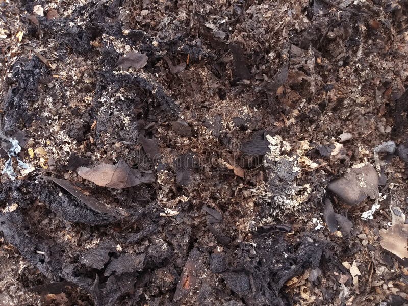 Ash on the ground stock image. Image of junk, fire, burned - 125976121