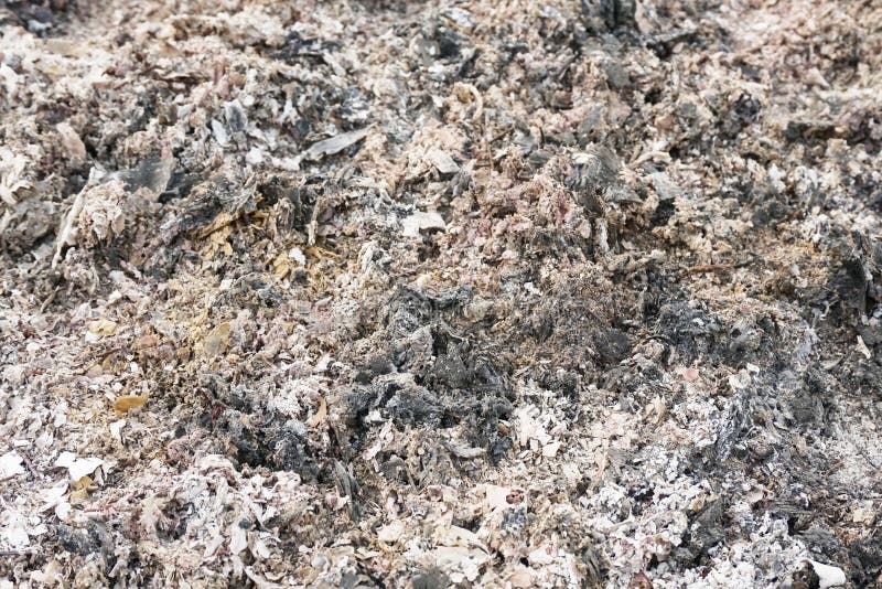 Ash on the ground stock image. Image of dust, junk, pollution - 144990005