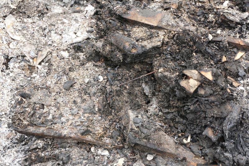 Ash on the ground stock image. Image of nature, texture - 145362623