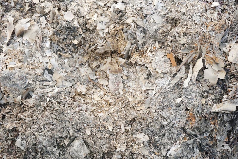 Ash on the ground stock photo. Image of natural, fire - 147348266