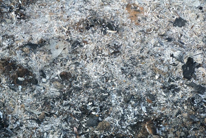 Ash on the ground stock image. Image of black, close - 169813417