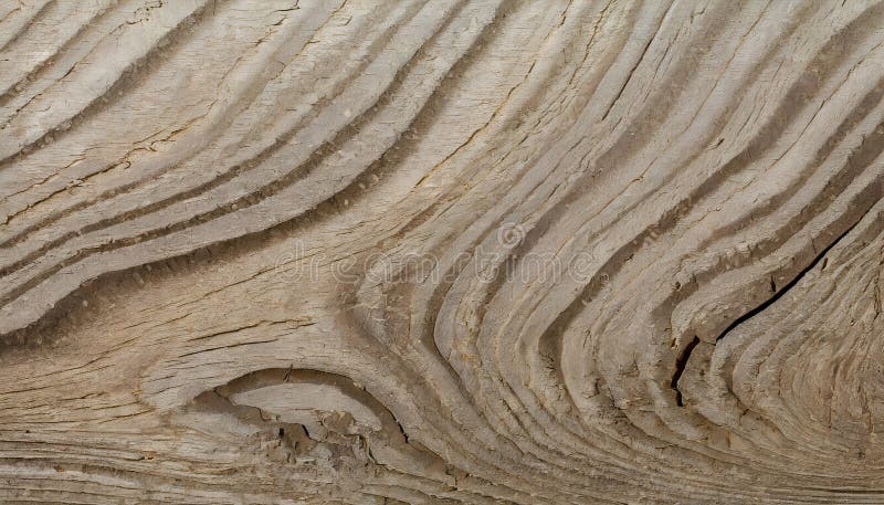 Close-up of Ash Wood Texture Stock Illustration - Illustration of ...