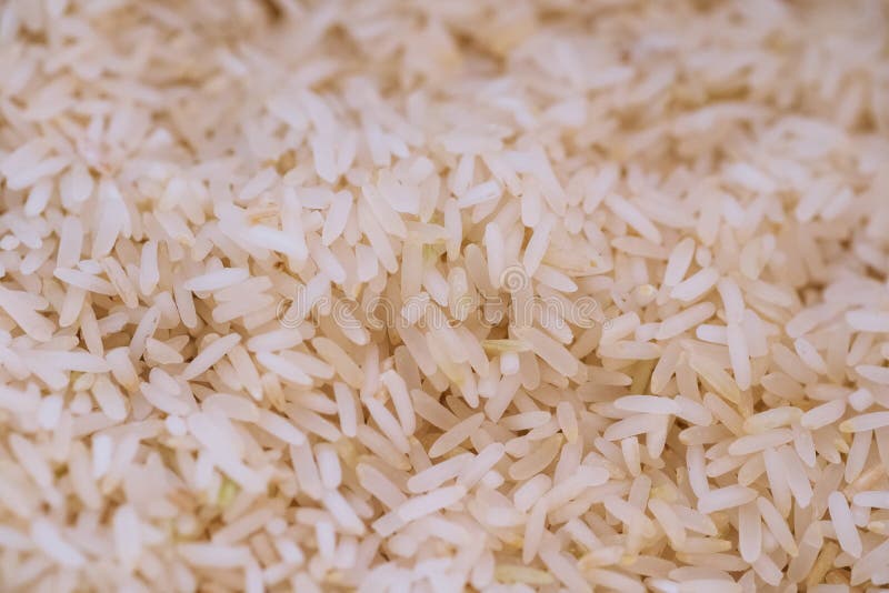 Close Up of Asia Raw Rice Grain and Dry Rice Background Stock Photo ...