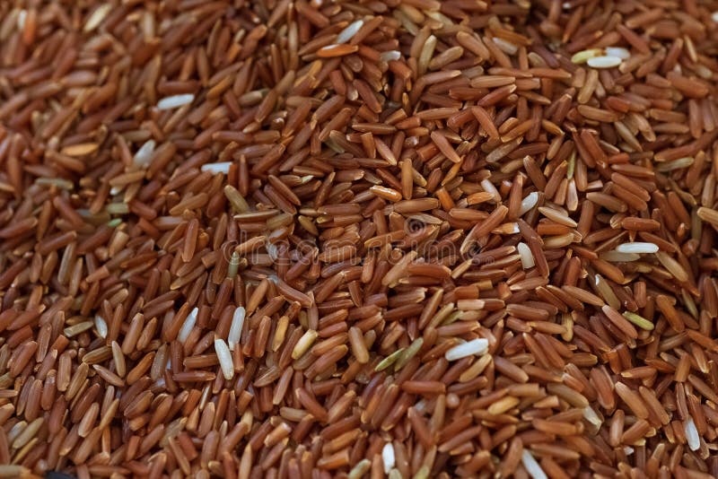 Close Up of Asia Raw Rice Grain and Dry Rice Background Stock Image ...