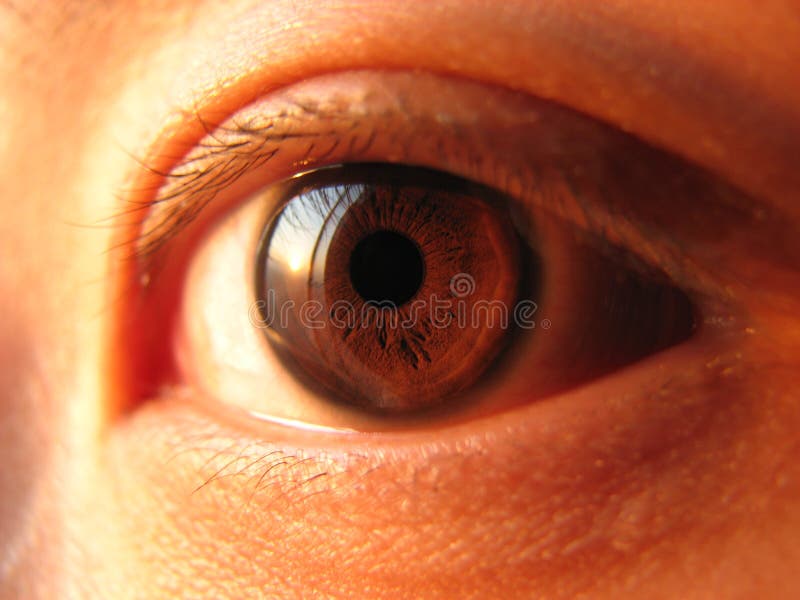Close-up of asian eye stock photo. Image of crystal, eyed - 12802884