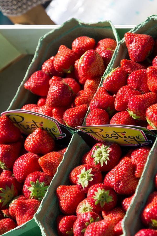 Close-up of Assorted Boxes of Fresh Strawberries on Display Stock Photo ...