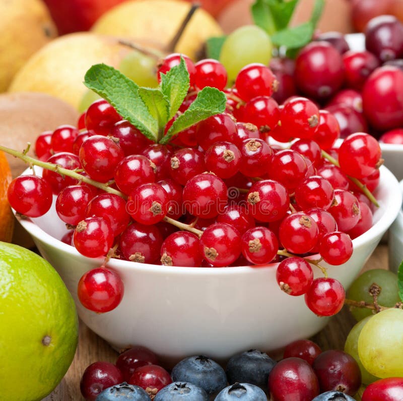 Close-up of Assorted Fresh Fruit and Berries Stock Photo - Image of ...