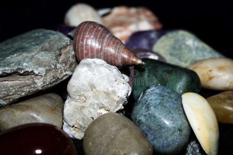 Close up of assorted rocks stock image. Image of invertebrate - 204394767