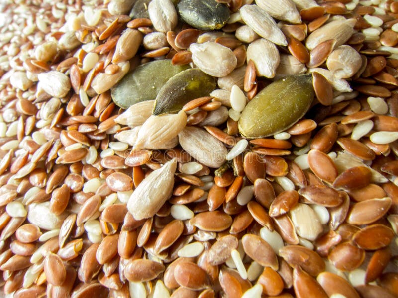 Close up assorted seeds stock photo. Image of vegetarian - 220745600