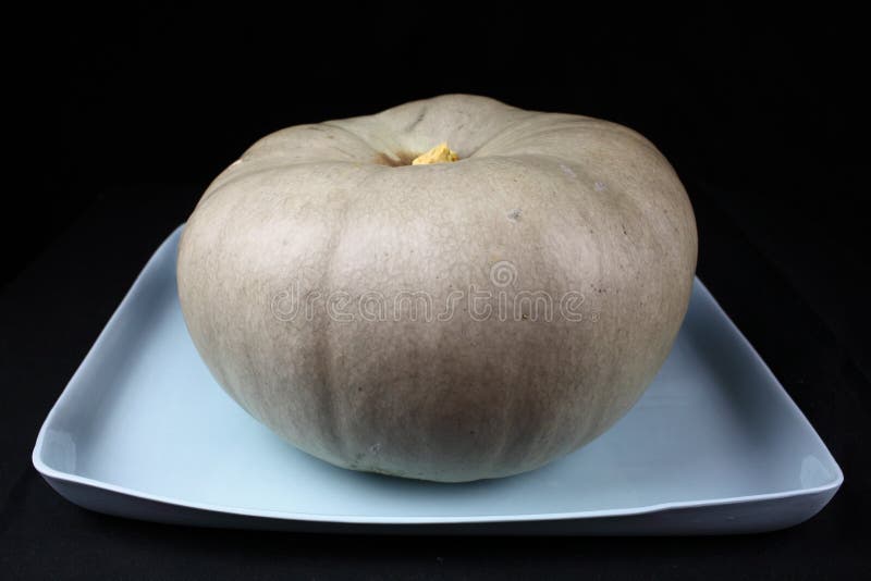 Blue Pumpkin on Ceramic Plate by Black Background Stock Photo - Image ...
