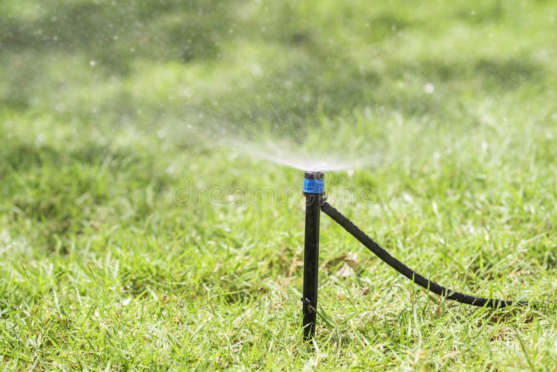 Close Up Automatic Sprinklers System Stock Photo - Image of green ...