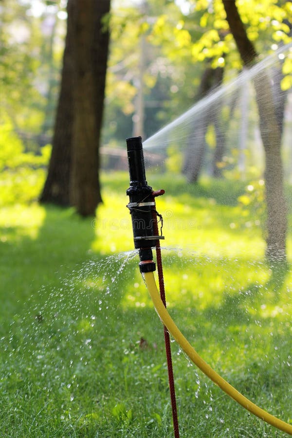 Close Up of Automatic Water System Watering Grass and Trees Stock Image ...