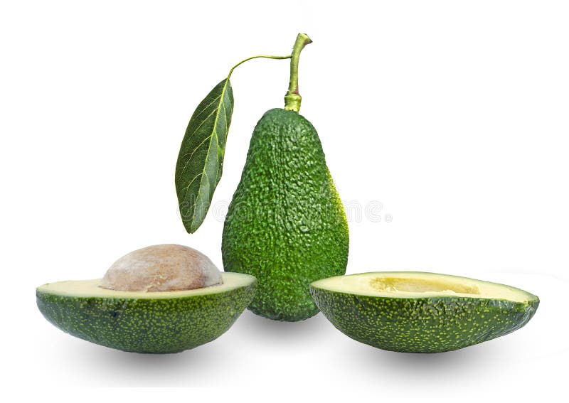 Close Up of Avocado Isolated on White Stock Image - Image of background ...