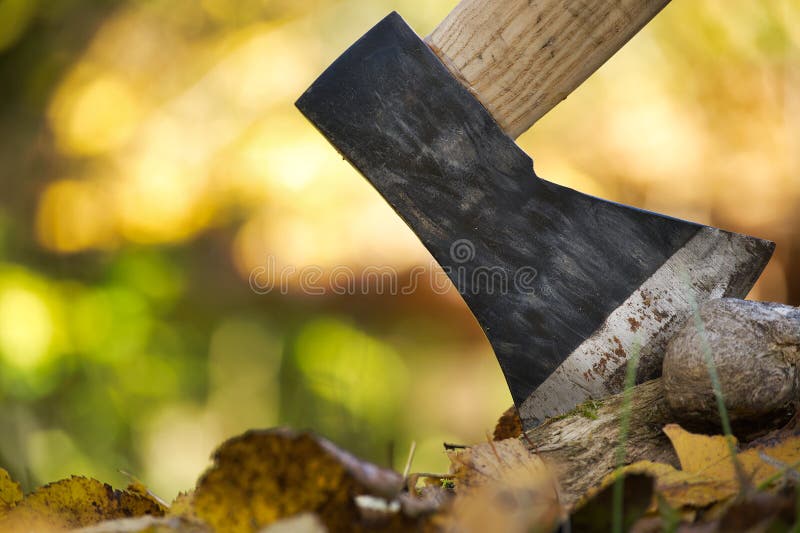 Close Up of an Axe Blade Embedded into the Wood Stock Photo - Image of ...
