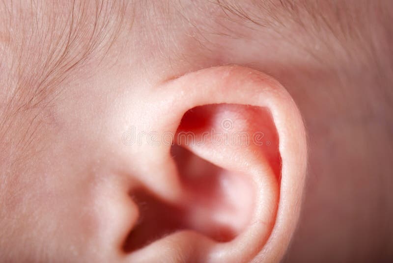 Baby ear stock photo. Image of children, cute, girl, defect - 1443692