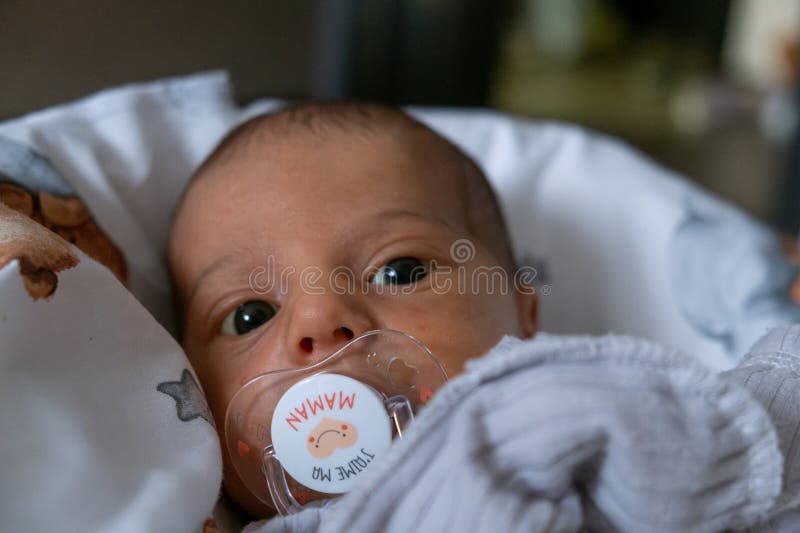Close-up of Baby with Pacifier Stock Photo - Image of family, innocence ...