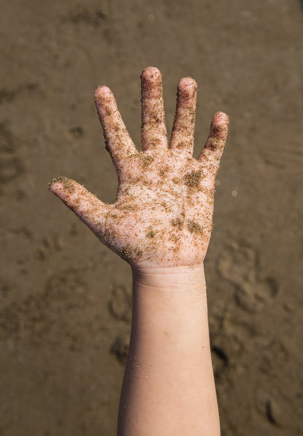 Close Up of Baby Sandy Hands Stock Image - Image of season, golden ...