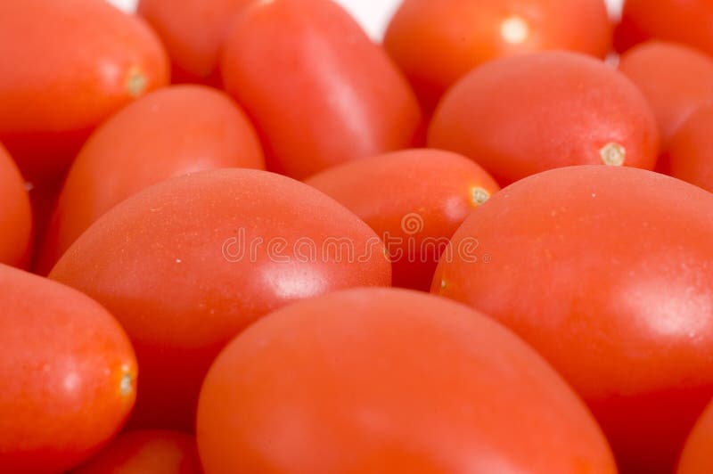 Baby tomatoes on vine stock image. Image of fall, cherry - 202284573