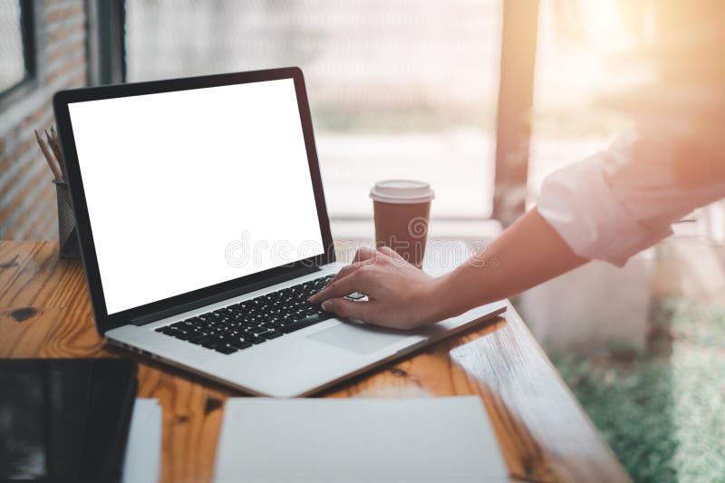 Close-up Back View of a Business Woman Working in the Office Typing ...
