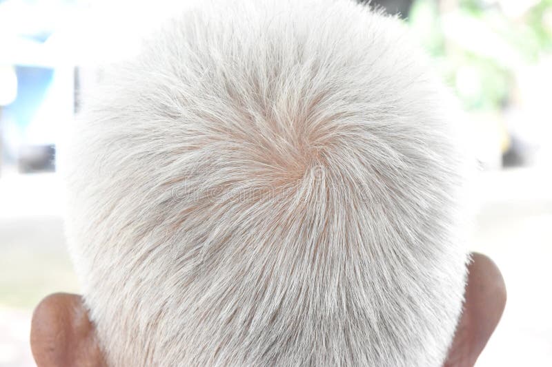 Close Up Back View White Hair of Senior Man Stock Photo - Image of ...