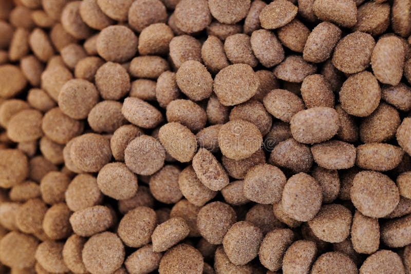 Close-up on dog kibble stock photo. Image of shapes - 160142832