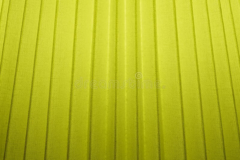 Close Up Background of Green Pleated Textile Texture Stock Photo ...