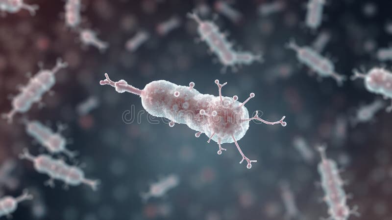 A Closeup of a Bacteria Seen Under a Microscope Stock Illustration ...