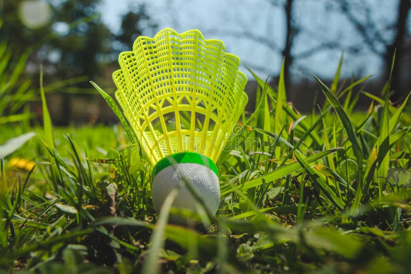 Badminton Balls in the Grass Stock Photo - Image of leaf, hobby: 217160822