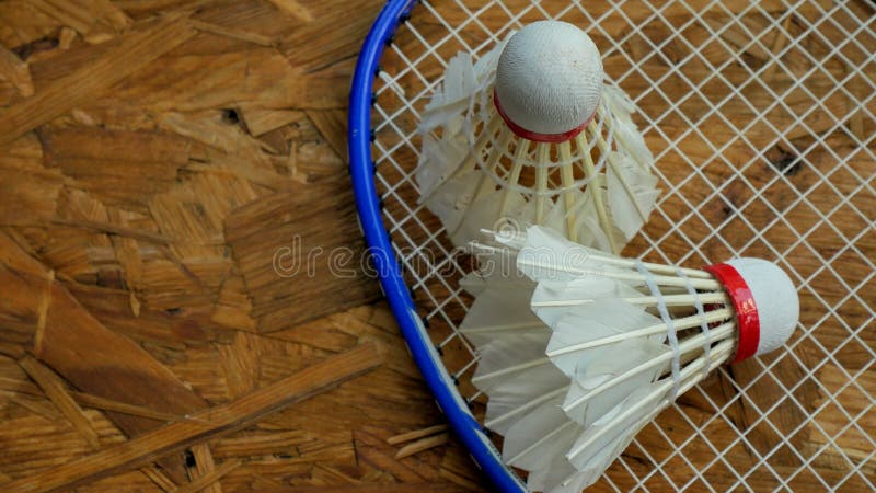 Close Up Badminton Racket with Two Used Shuttlecock Stock Photo - Image ...