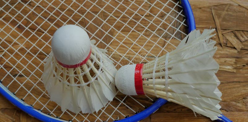 Close Up Badminton Racket with Two Used Shuttlecock Stock Image - Image ...