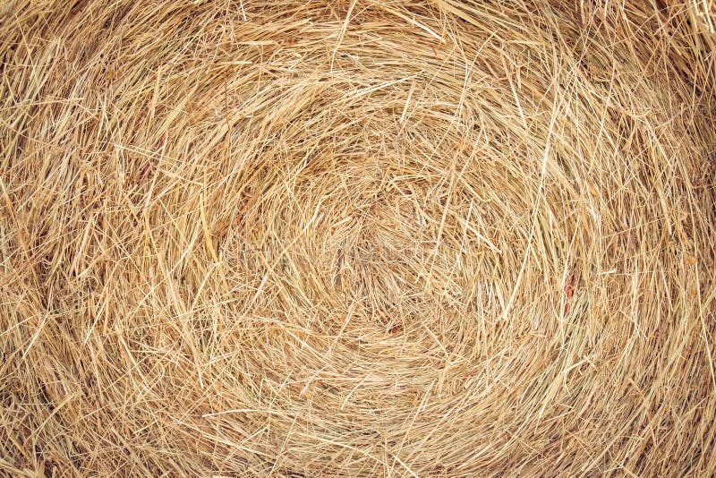 Hay texture stock image. Image of natural, slab, rough - 148389