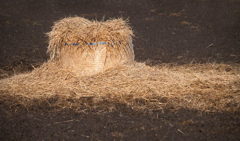 Close-up of a Bale of Hay that is Baled into a Round Shape. the Hay ...