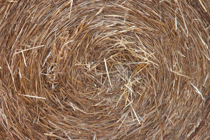 A bale of hay stock photo. Image of bale, warm, close - 208577666
