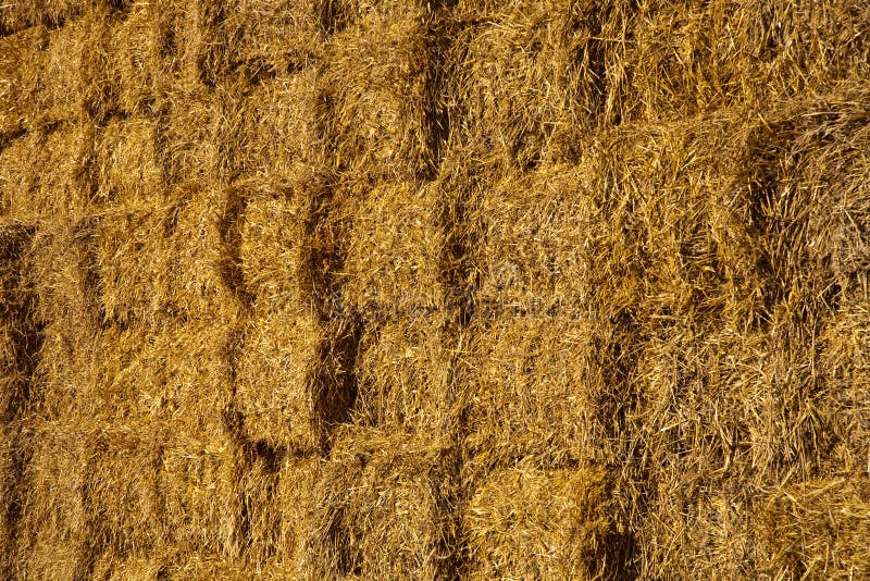 Close-up of bale of straw stock image. Image of plant - 34815509