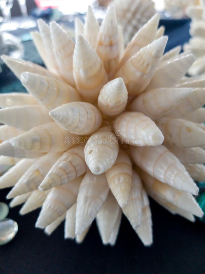 Close Up of a Ball Made of Shells Stock Photo - Image of decor, pieces ...