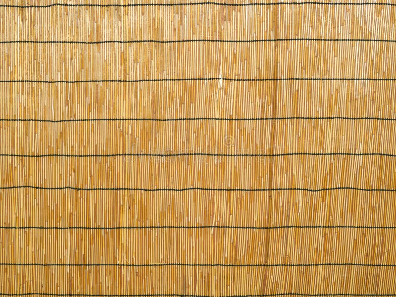 Close-up of Bamboo Curtain or Wall Texture, Natural Pattern Stock Image ...