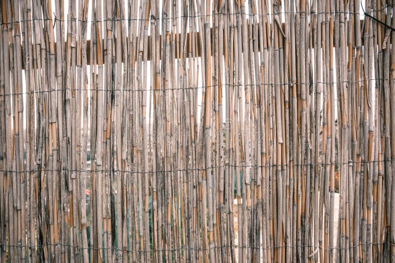 Close Up of a Bamboo Fence in a Backyard. Bamboo Fence Intertwined with ...